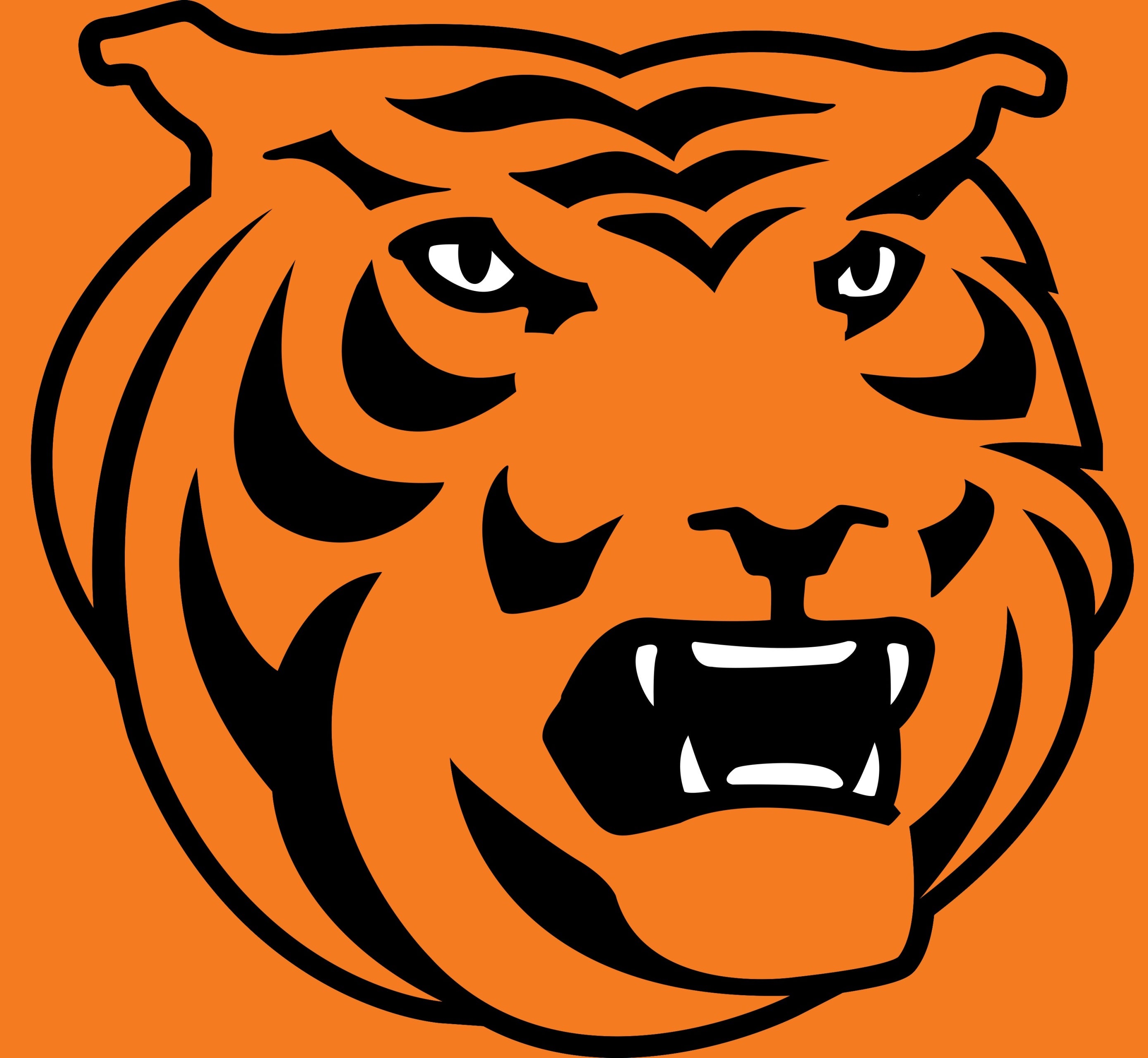 HS 2025 STP ORANGE & DASA DRYLAND (Skater) | Tiger Hockey